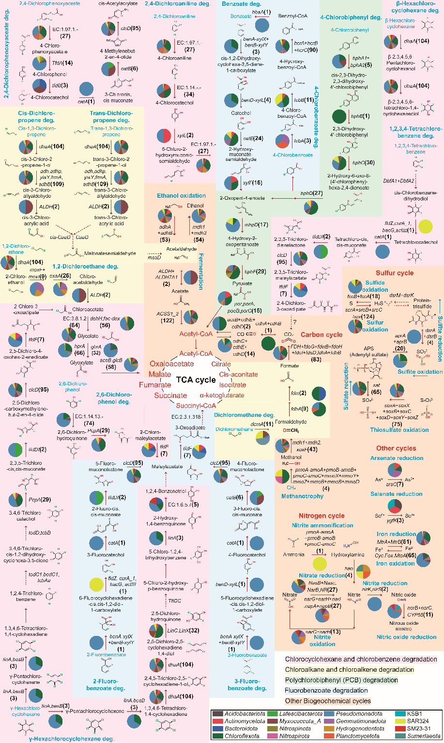 深海碳循环新突破：马里亚纳海沟发现巨型卤代有机物储库